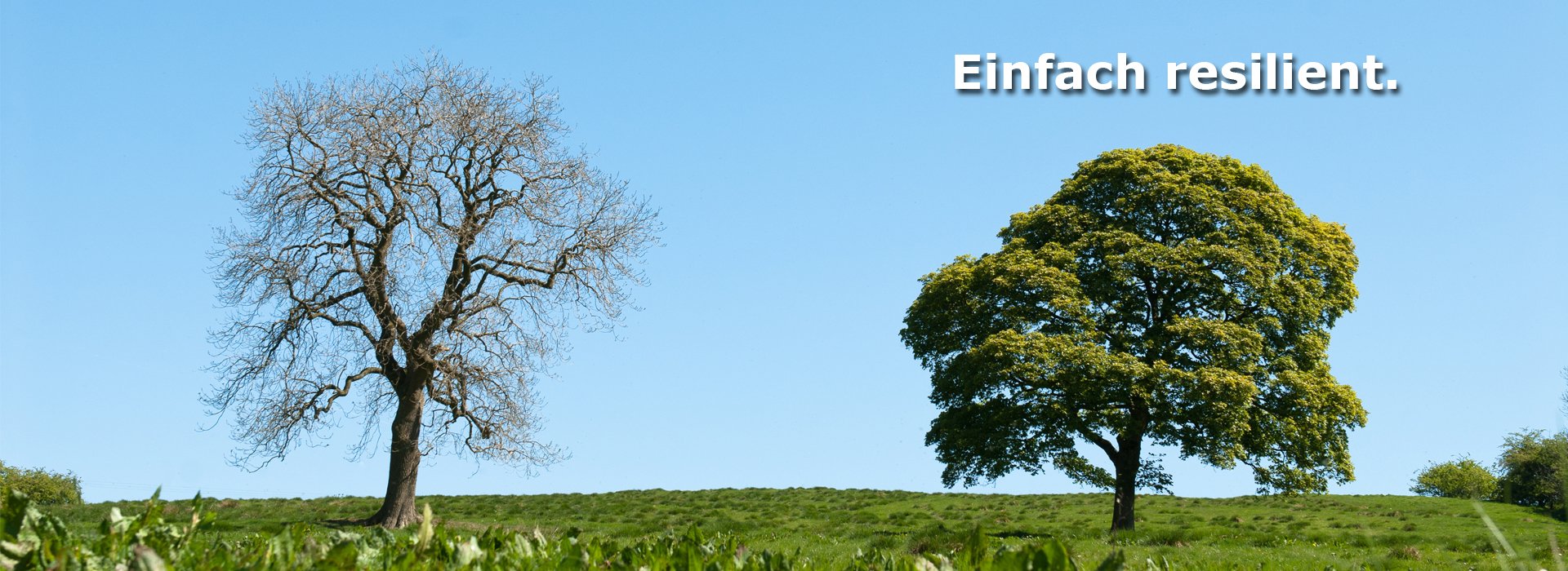 Resilienz: Mehr Widerstandsfähigkeit gegen Stress | mindyourlife