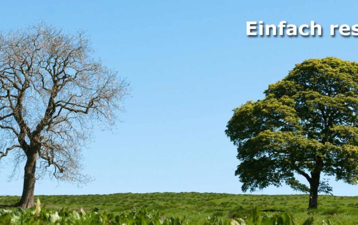 Resilienz Archives | mindyourlife